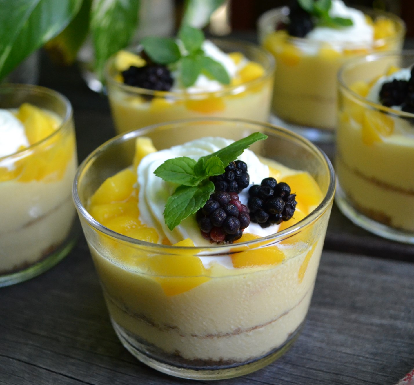 Mango Cheesecake Mousse マンゴーチーズケーキムース – US Southern Kitchen