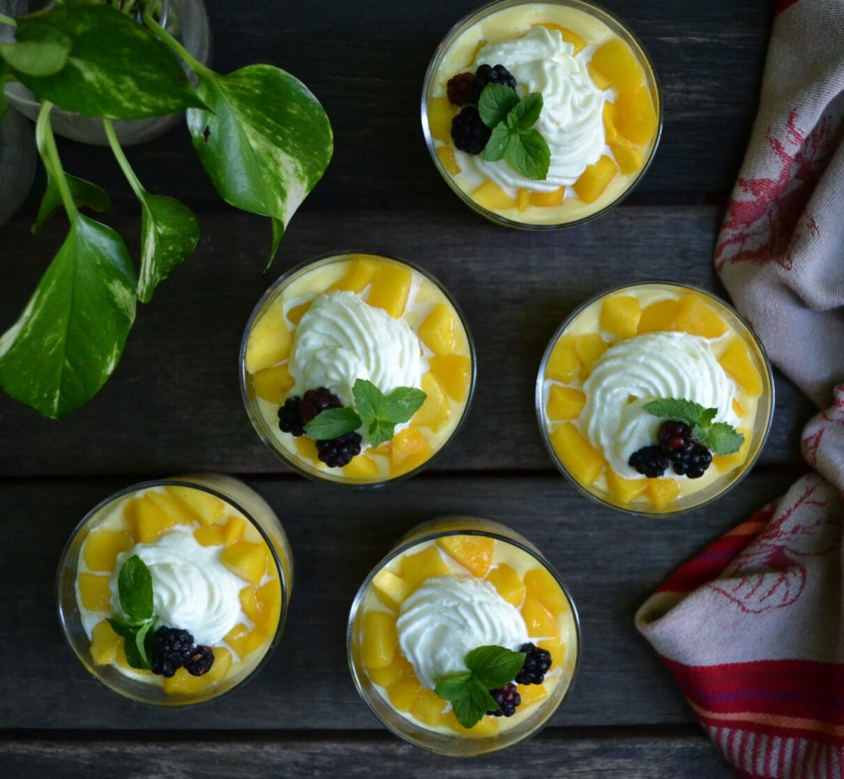 Mango Cheesecake Mousse マンゴーチーズケーキムース – US Southern Kitchen