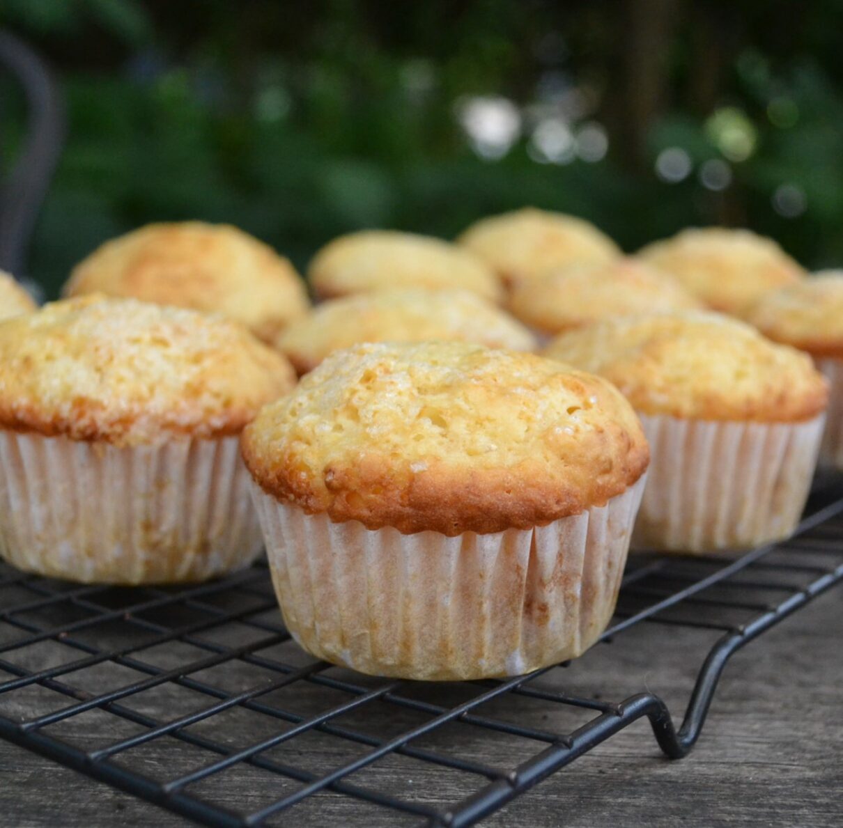 Lemon Ginger Muffins レモンジンジャーマフィン – US Southern Kitchen