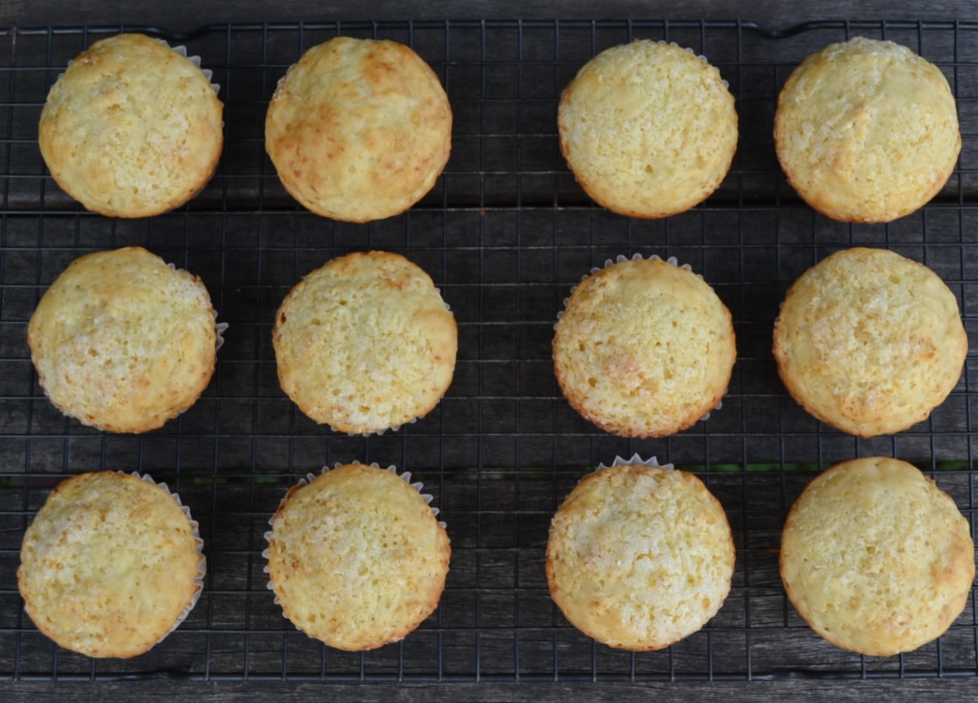 Lemon Ginger Muffins レモンジンジャーマフィン – US Southern Kitchen