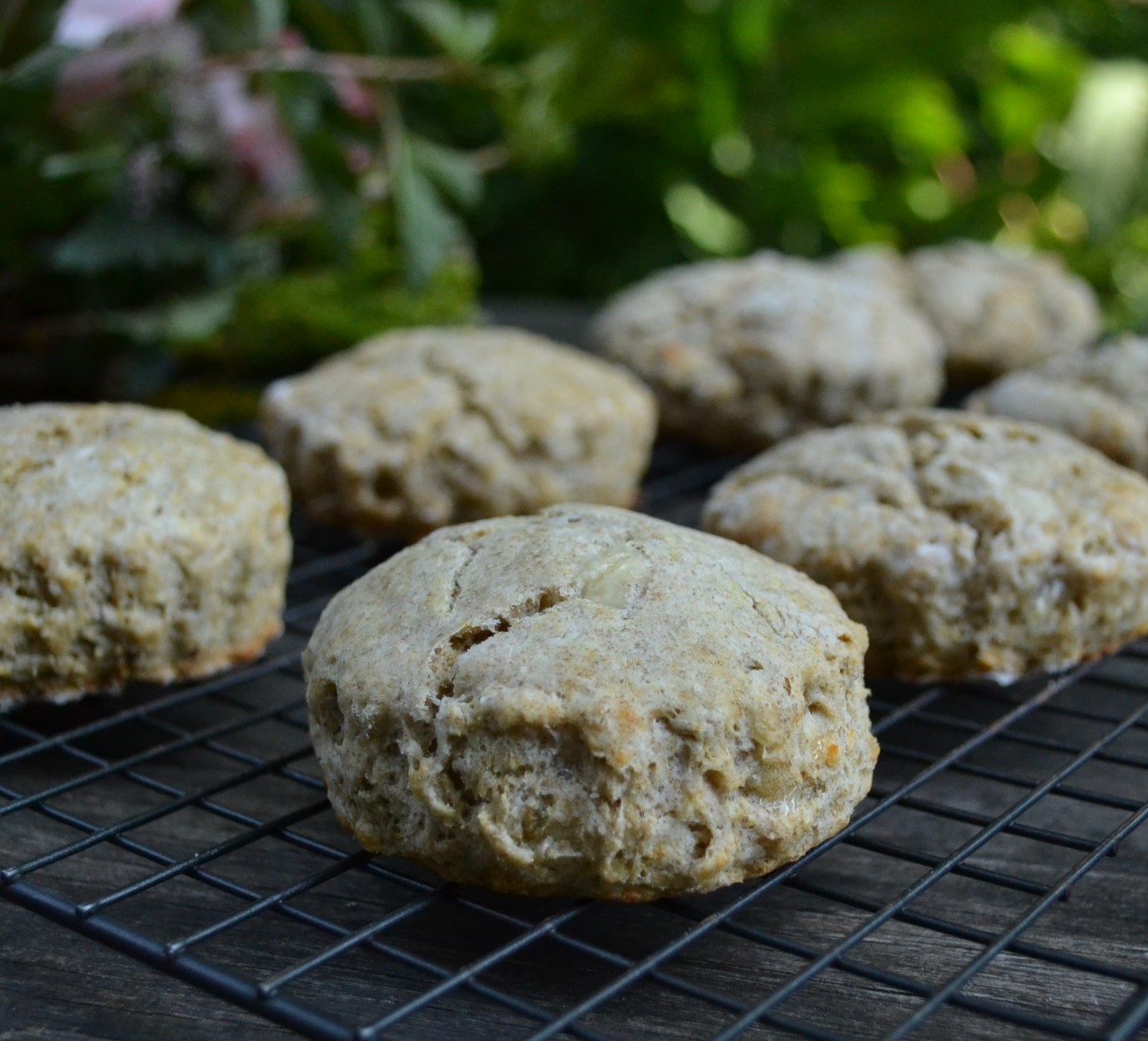 Rye and Cheese Biscuits ライ麦とチーズのビスケット – US Southern Kitchen