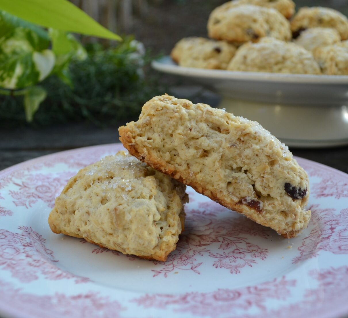 Scottish Oat Scones オートミールスコーン – US Southern Kitchen
