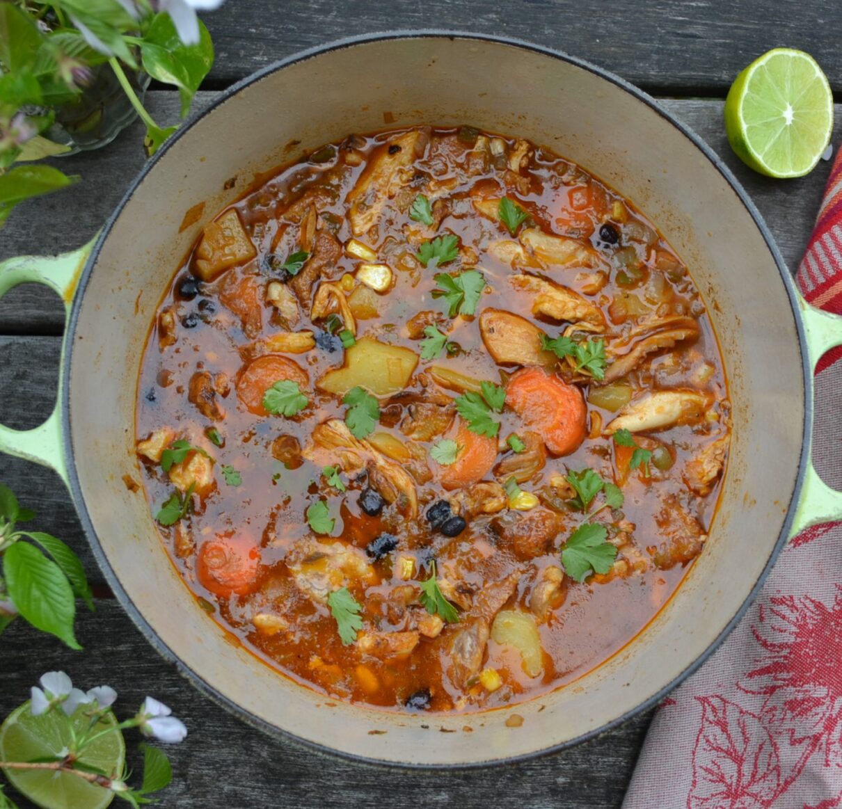 Tex-Mex Chicken Stew テックスメックスチキンシチュー – US Southern Kitchen