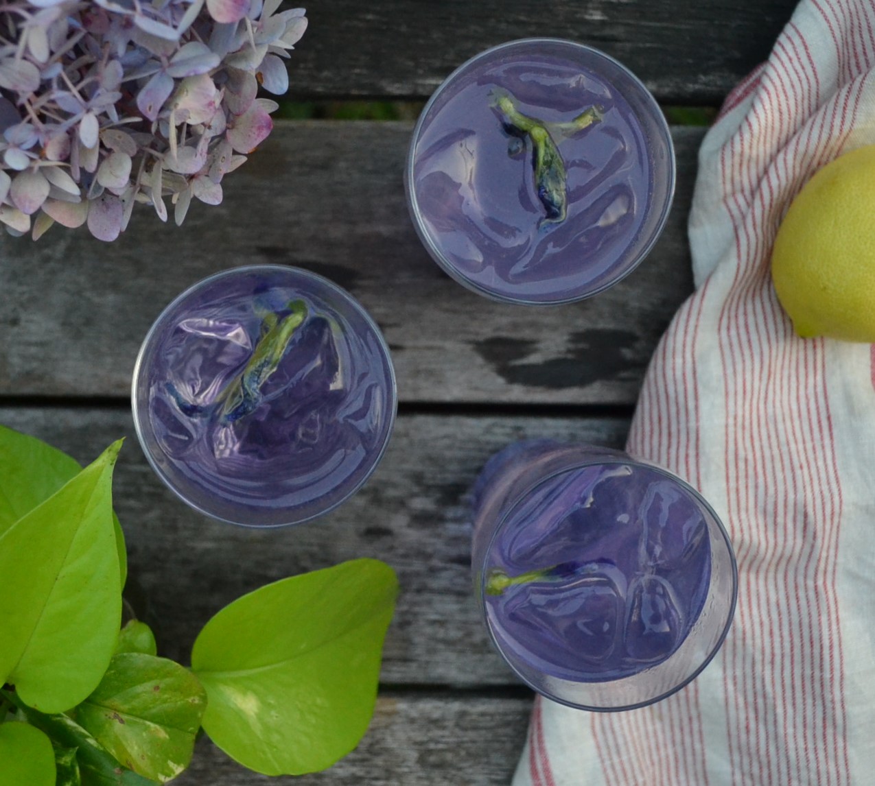 Butterfly Pea Lemonade バタフライピーレモネード – US Southern Kitchen