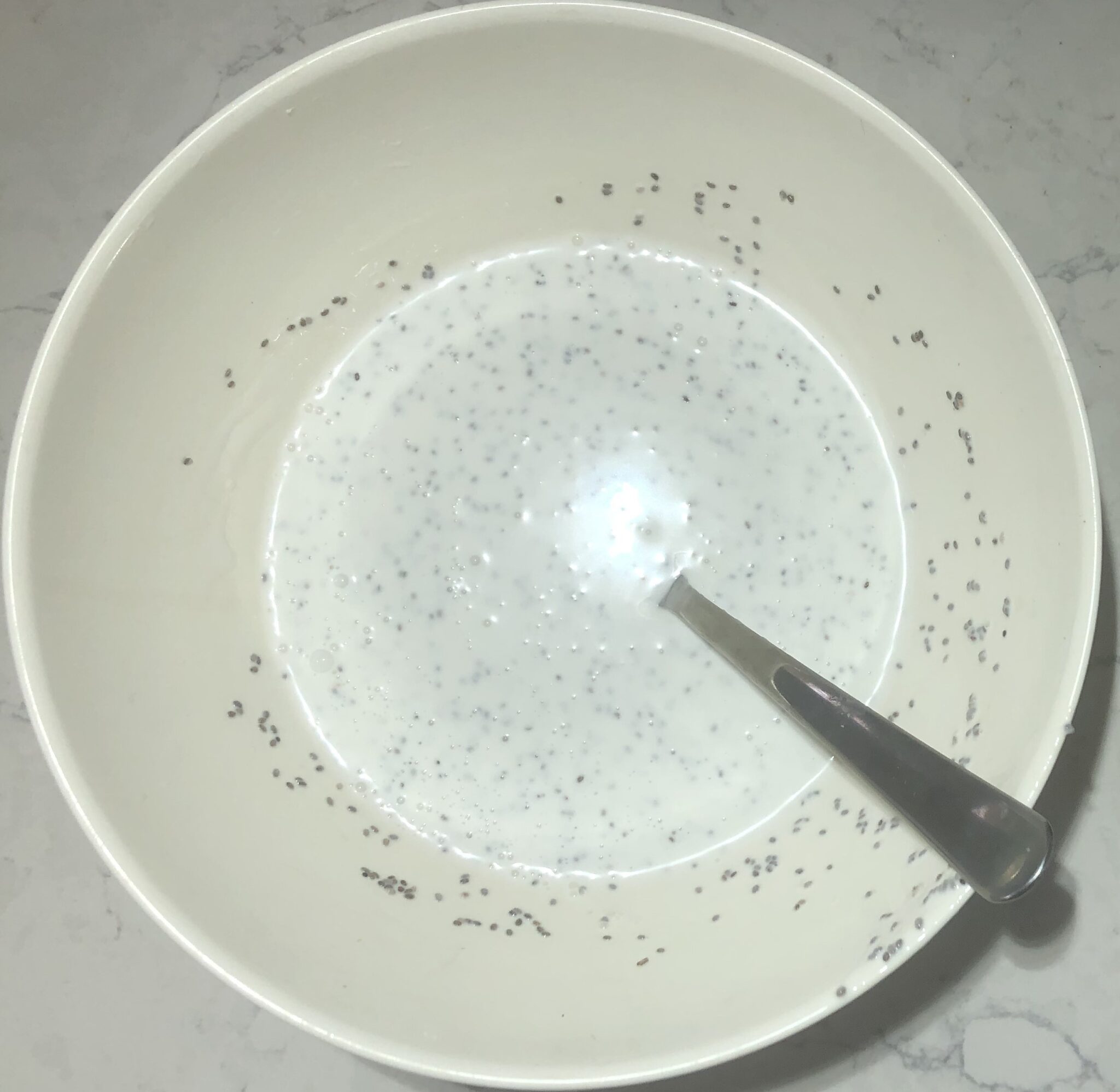 Chia Coconut Pudding チアココナッツプディング – US Southern Kitchen